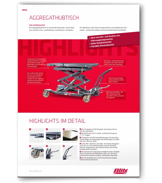 Blitz Master Gear MGO für Motoren und HV-Batterien